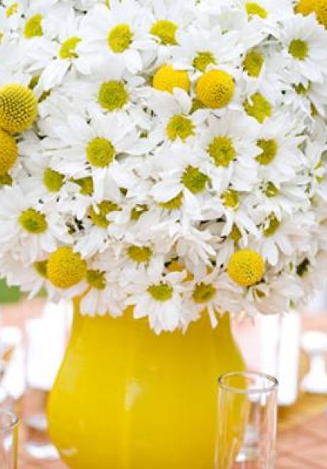 Daisy Wedding Flowers | Arabia Weddings